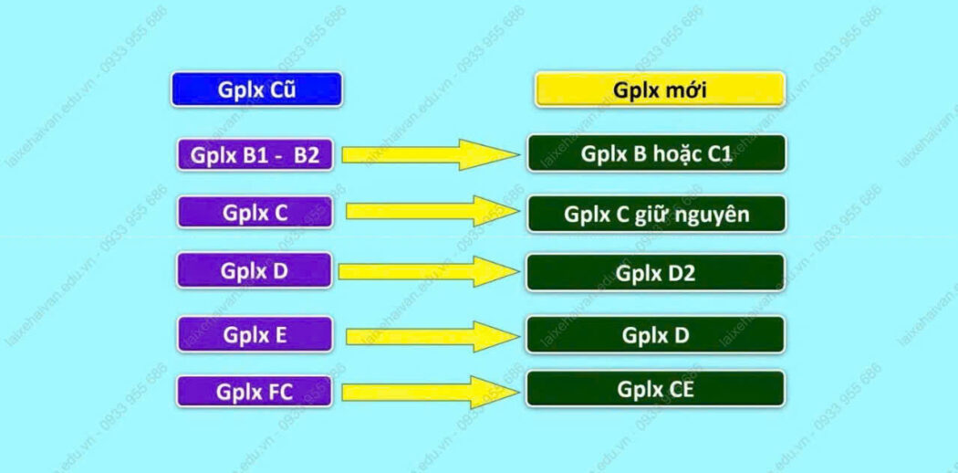 15 hạng giấy phép lái xe (GPLX) mới áp dụng từ ngày 01/01/2025 « Trung ...